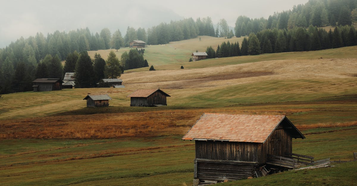 Satellite-Based Agriculture: Unlocking the Future of Smart Farming and ...